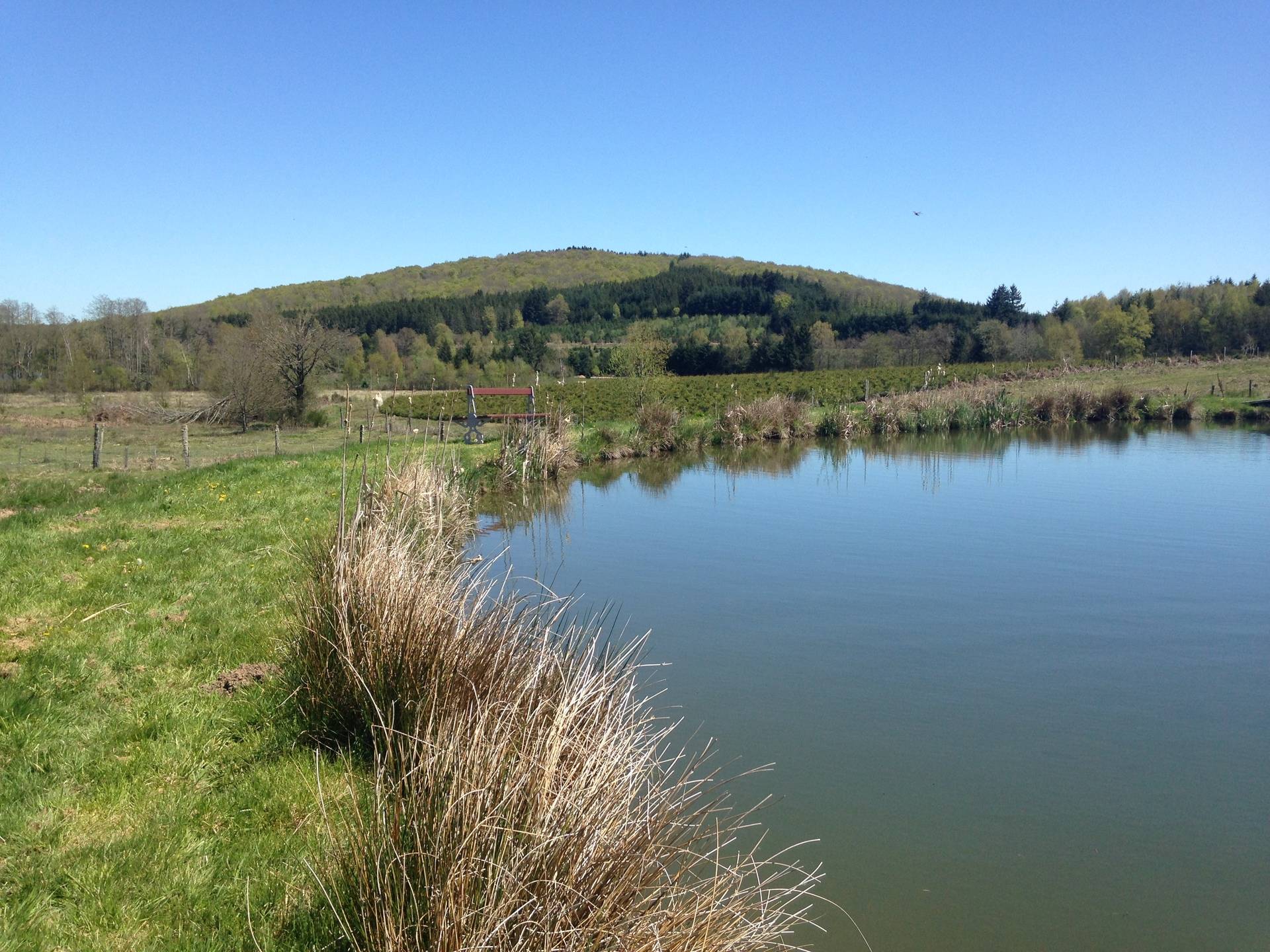 La Longère des Grands Ducs et son étang privé - Moux-en-Morvan