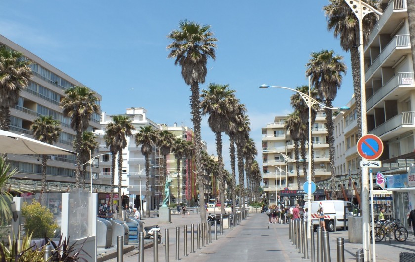 Appartement F3, 150m de la plage, vue sur la mer, centre de Canet ...
